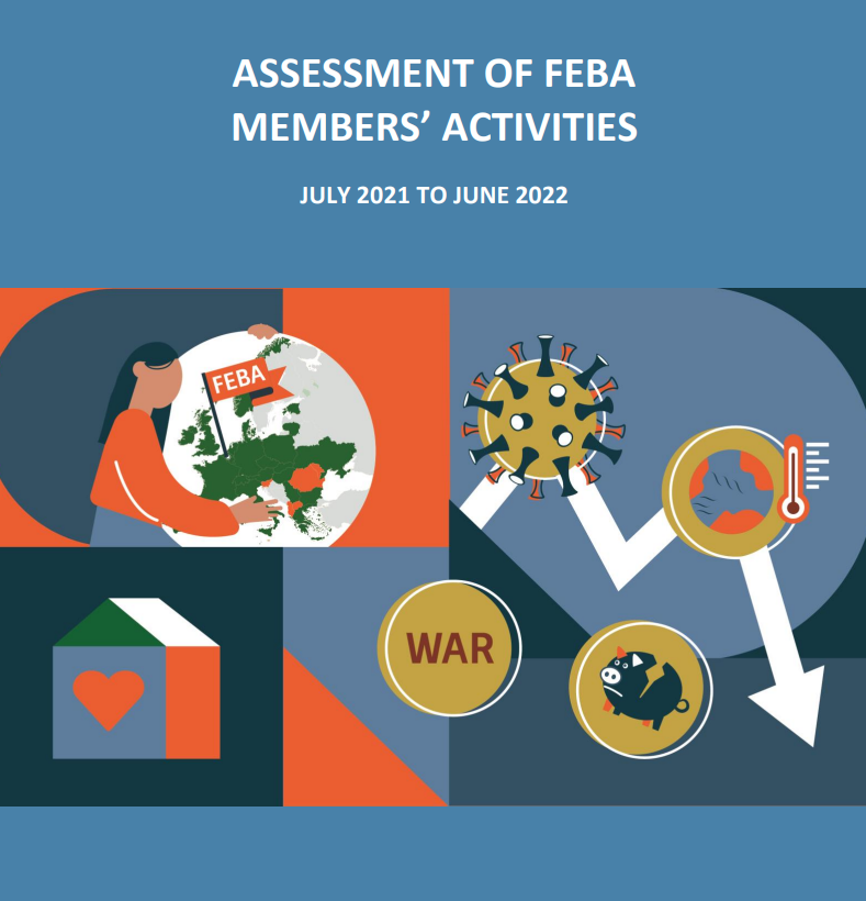 Assessment of FEBA Members' Activities - 2022 - FEBA
